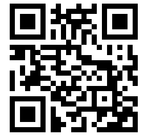 Professionals : The Balanced System